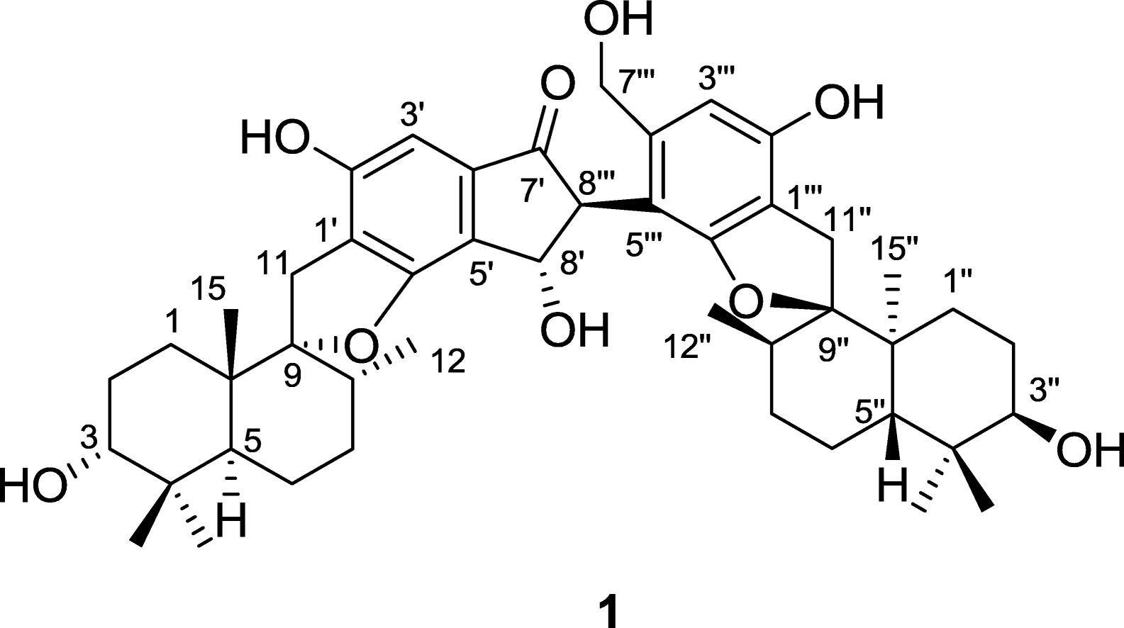 Types of Mold and their Harmful Effects | HomeCleanse
