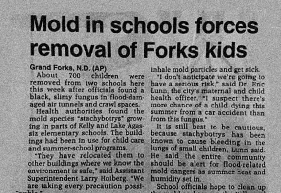 History of Mold & Building Related Illness | HomeCleanse