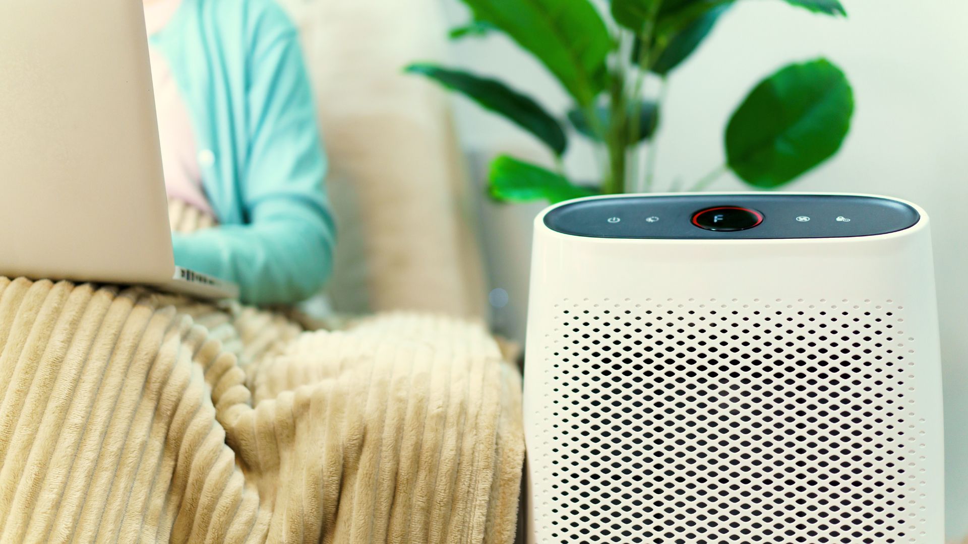 How To Choose The Right Air Purifier To Get Rid Of Mold Spores